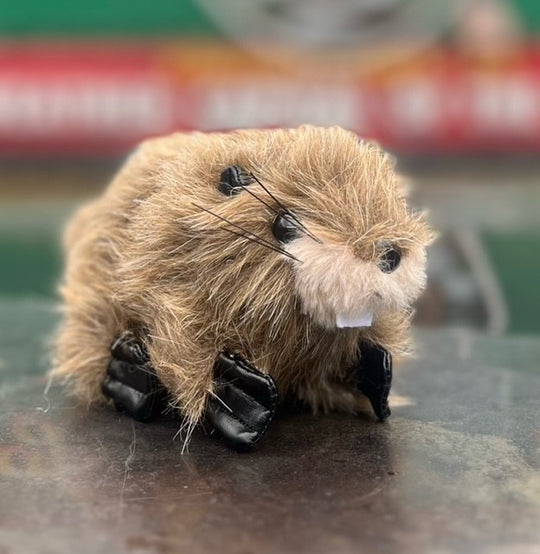 Plush Toys – Punxsutawney Groundhog Club