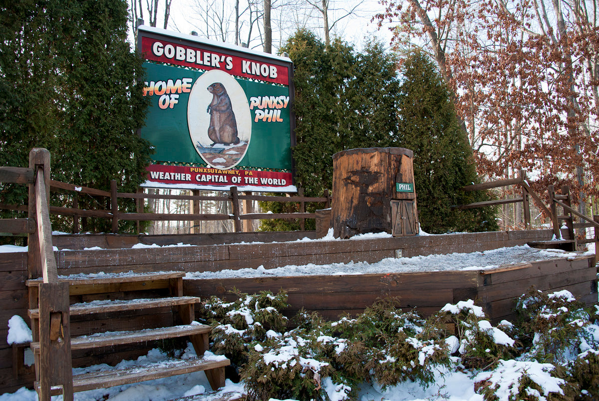 Gobbler's Knob Engraved Brick Gift Certificate – Punxsutawney Groundhog ...